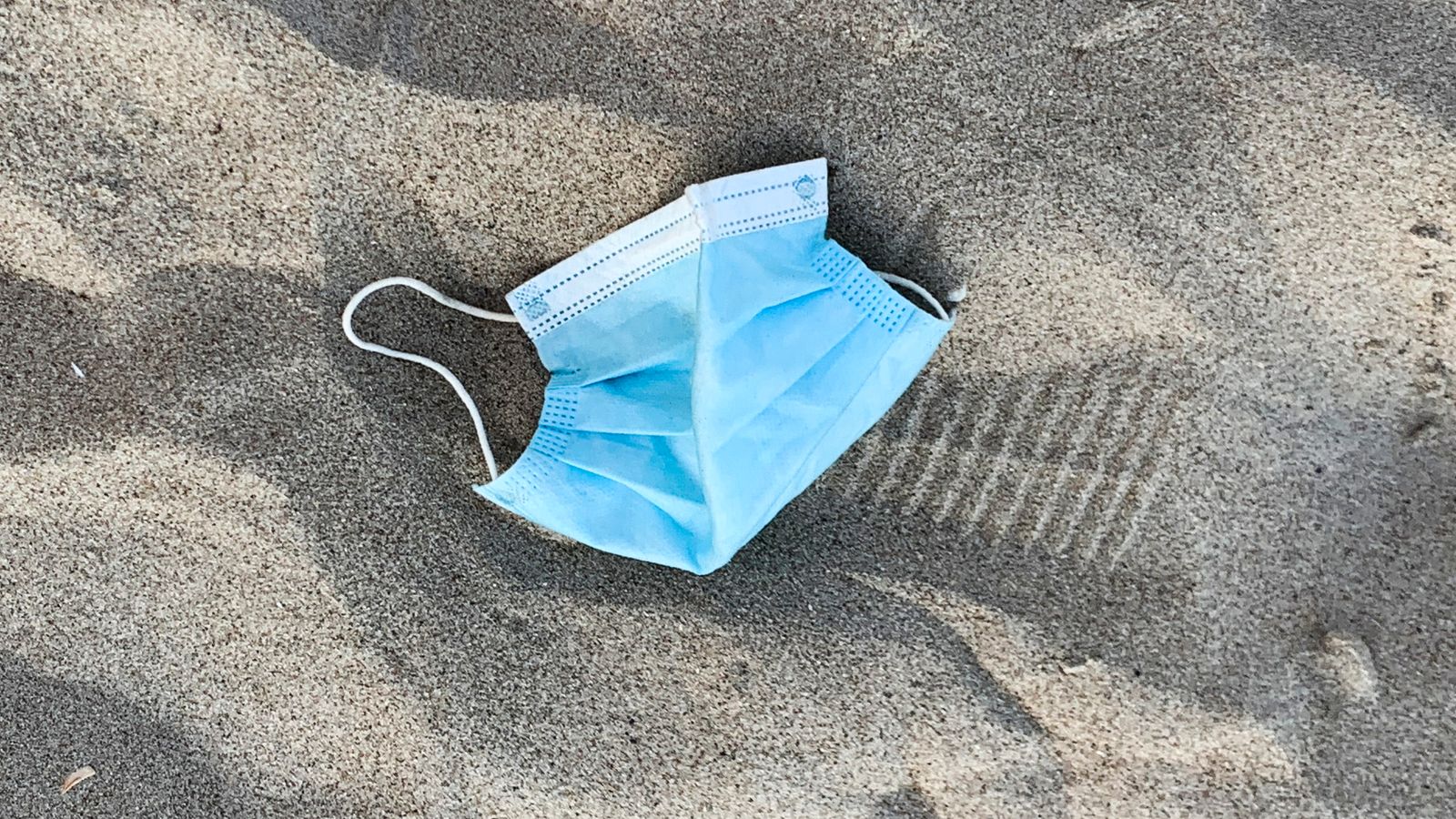 1.56 Billion Masks Ended Up in Our Oceans Last Year